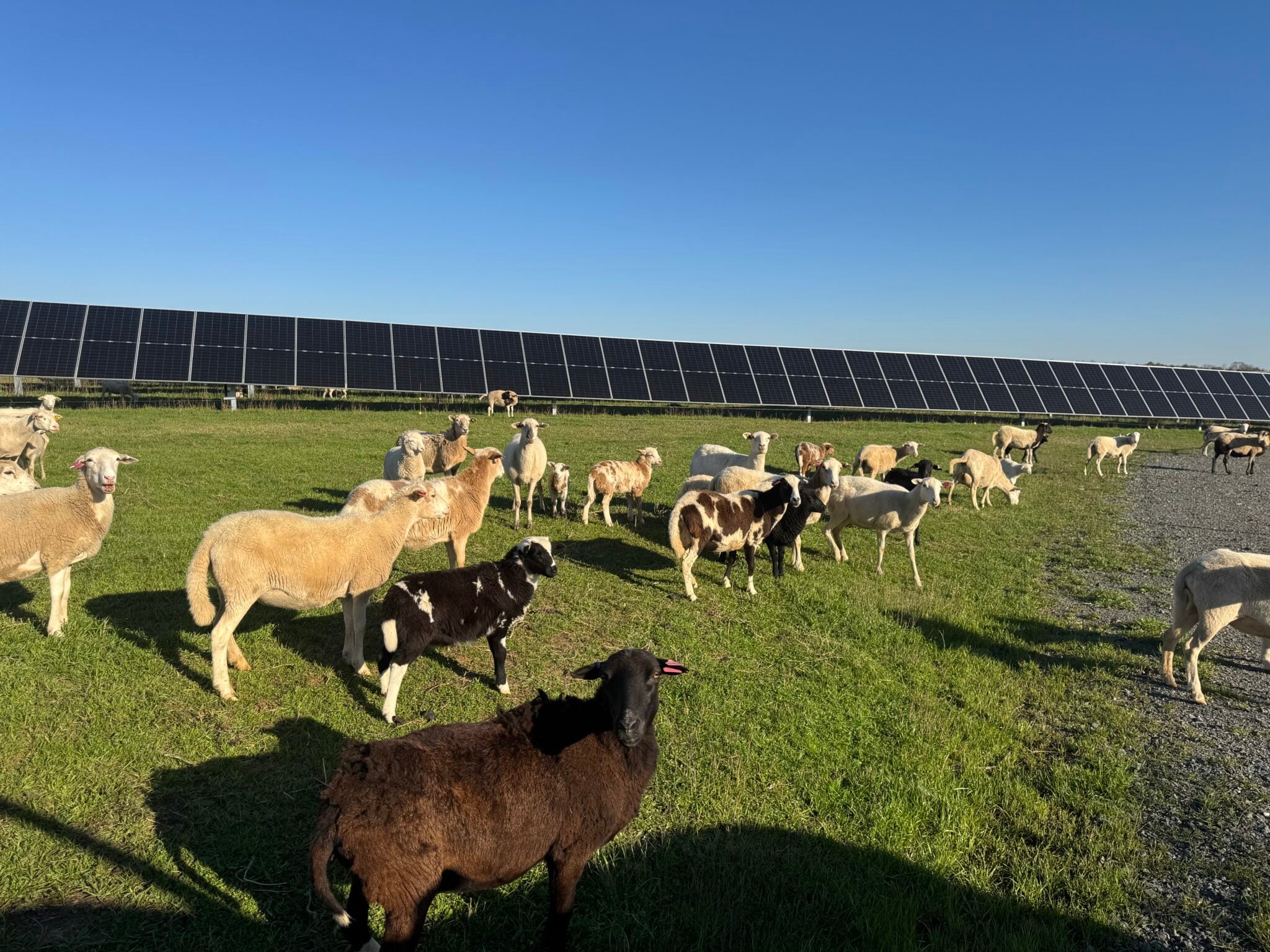 CPV Stagecoach Solar - Competitive Power Ventures