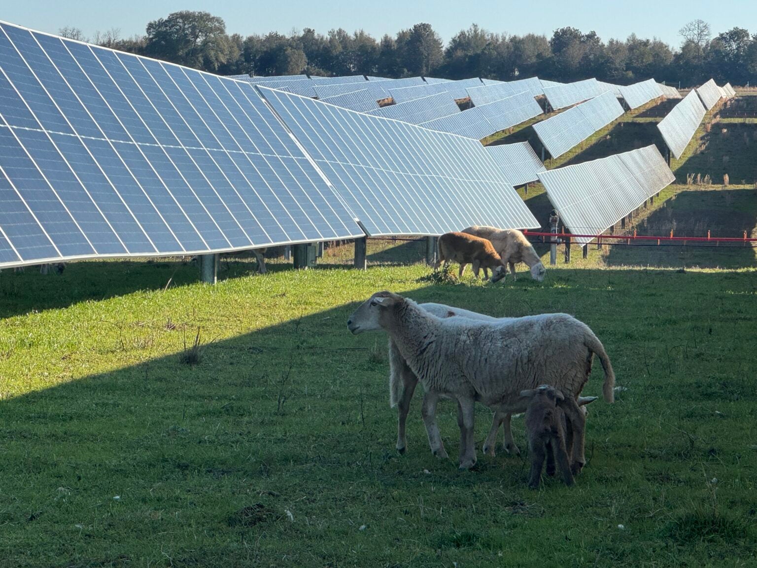 CPV Stagecoach Solar - Competitive Power Ventures