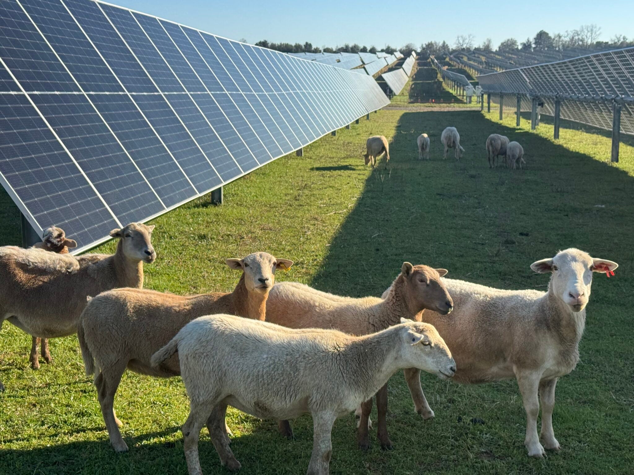 CPV Stagecoach Solar - Competitive Power Ventures